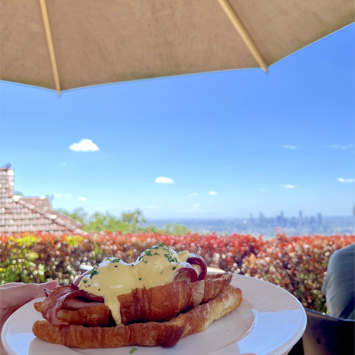 The Summit Cafe | Mount Coot-Tha (パン)