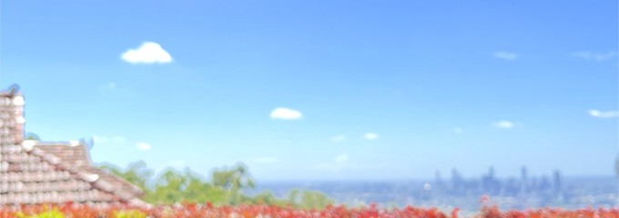 The Summit Cafe | Mount Coot-Tha (パン)