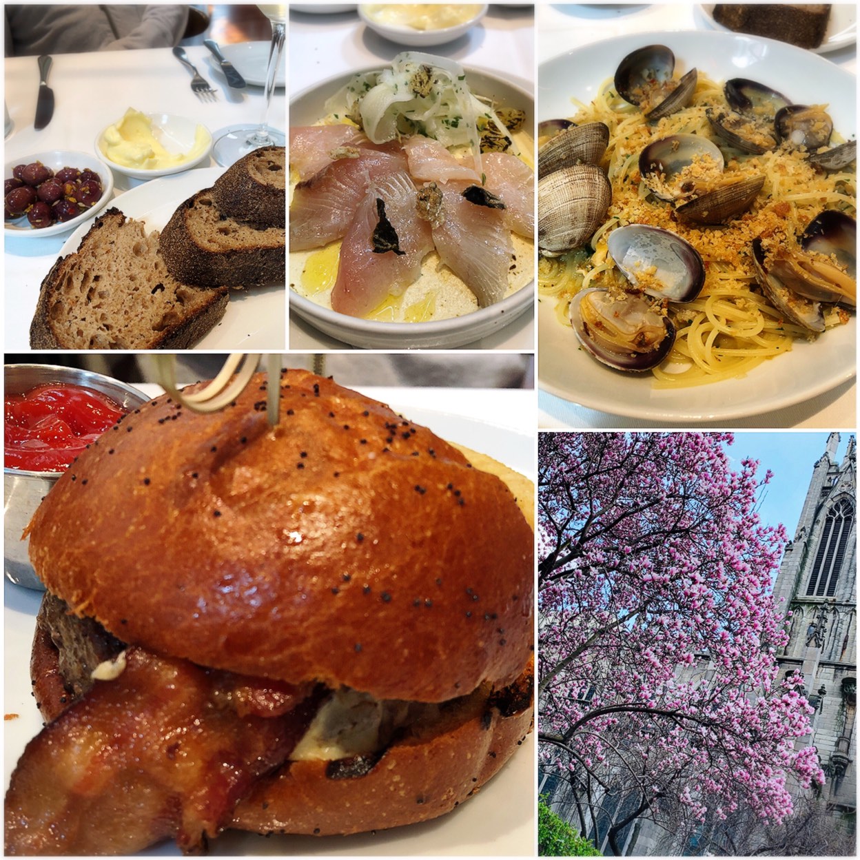Union Square Cafe ()
