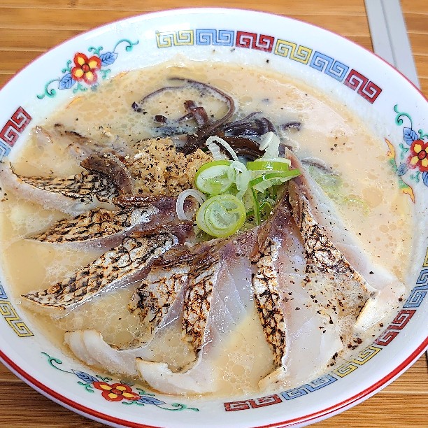 fish school fukuoka ()