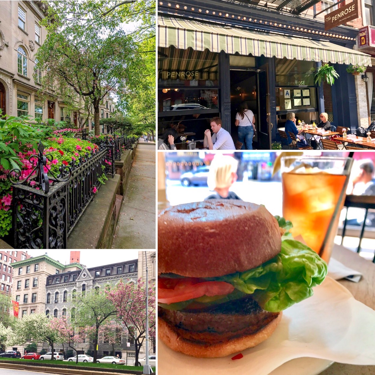 NYU Lipton Hall ()